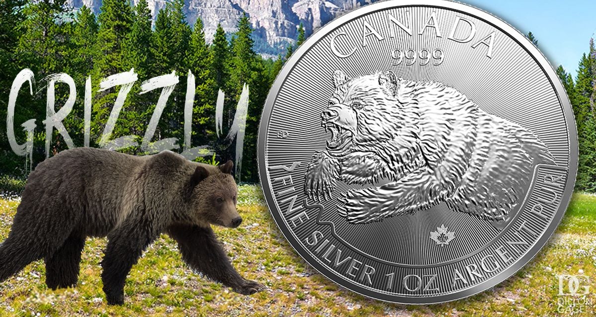 Silver RCM Predator Series - 2019 Grizzly | Dillon Gage