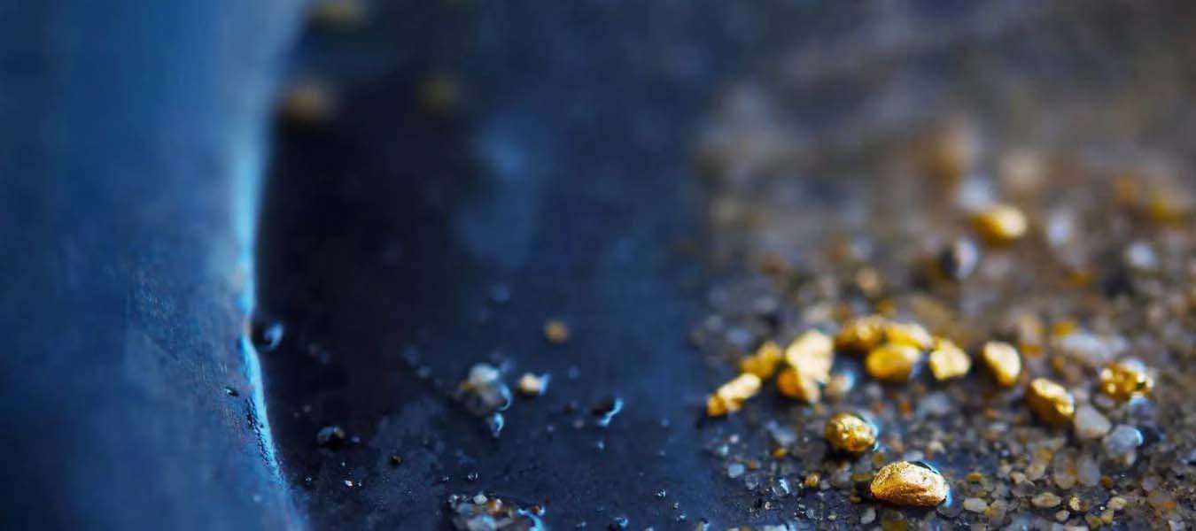 Dillon Gage | The most diverse company in the Precious Metals Industry